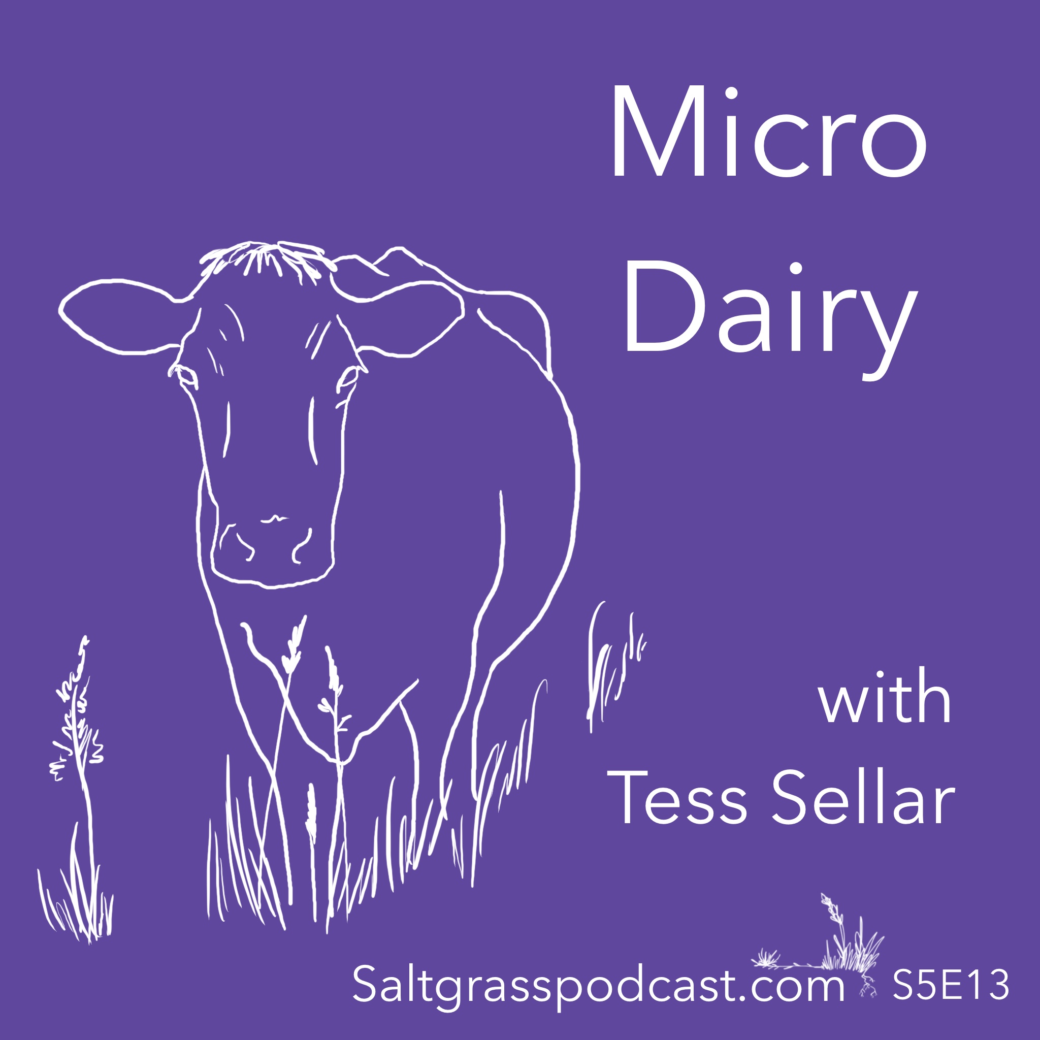 S5 E13 Micro-Dairy with Tess Sellar – Saltgrass Podcast